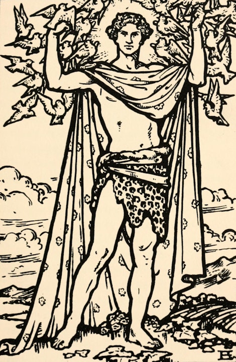 Aengus – Mythopedia