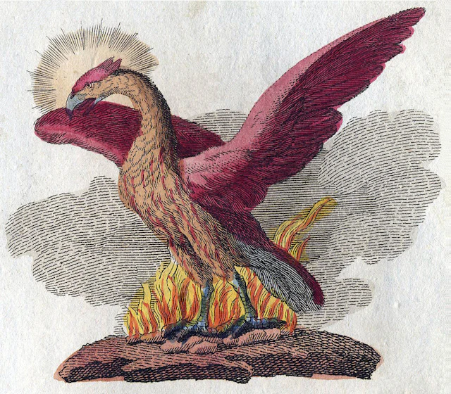Phoenix – Mythopedia